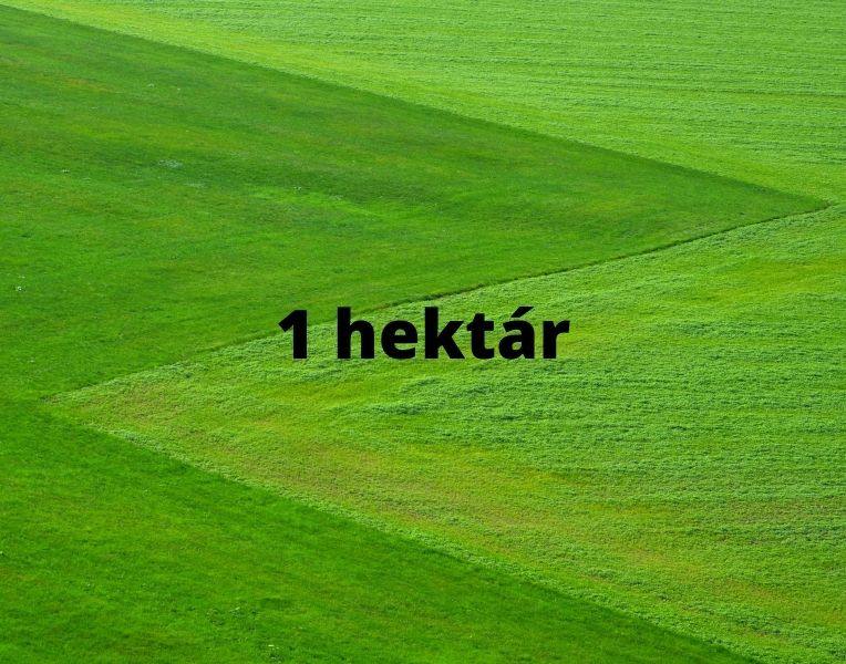 1 Hekt r H ny M2 Kalkul torok tv lt sok